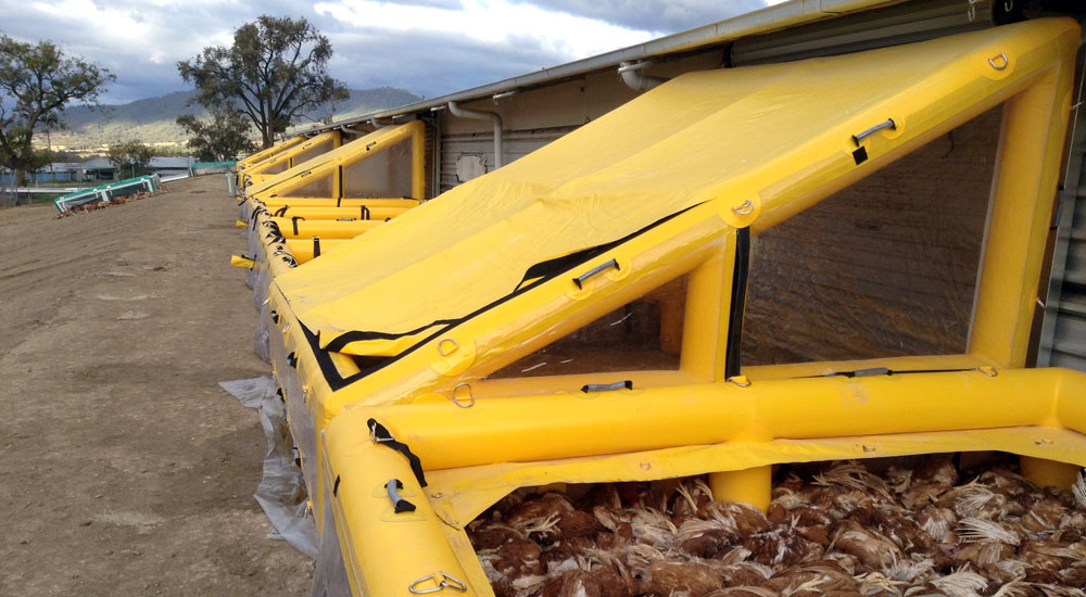 EuPoul a smart solution to the mass euthanasia of poultry